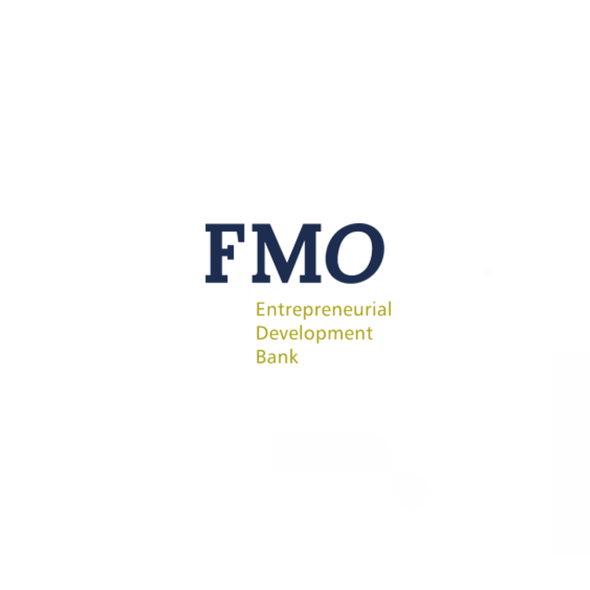 FMO - Dutch entrepreneurial development bank - Start-up.ma