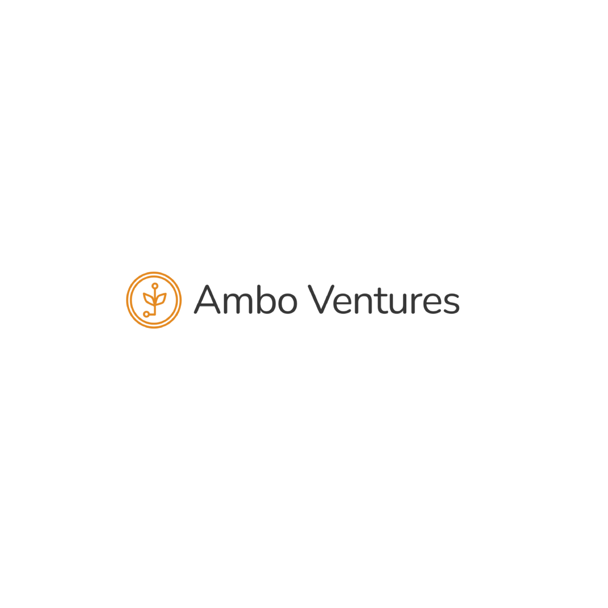 Ambo Ventures - Start-up.ma