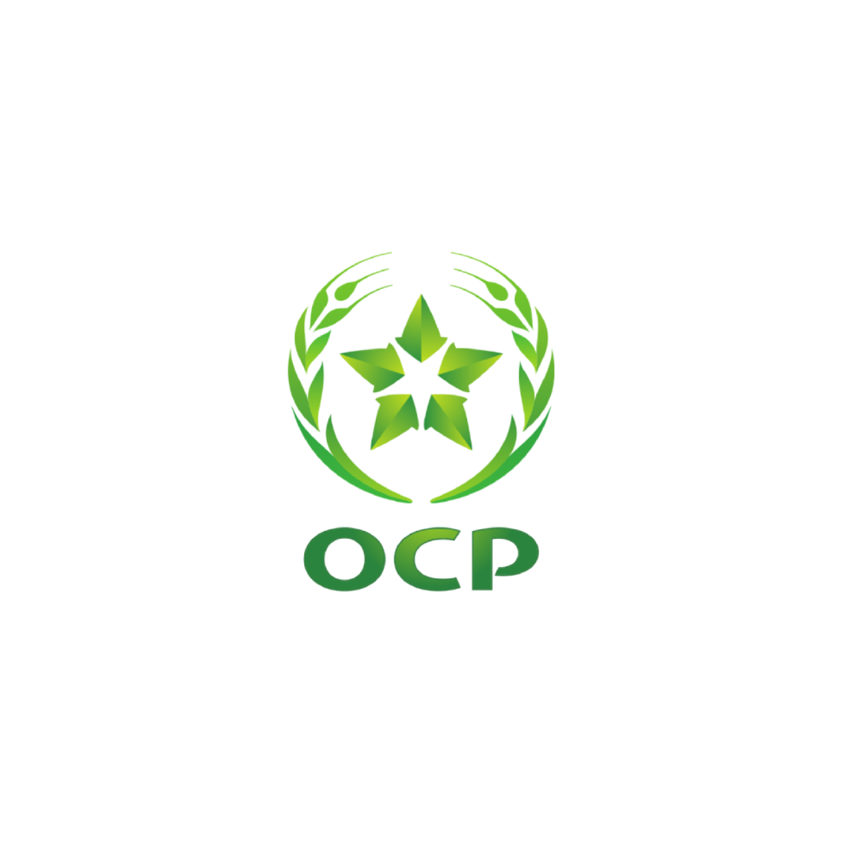 OCP l Start-up.ma
